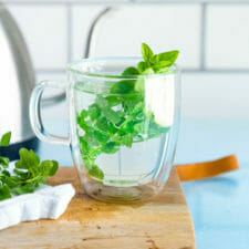 How to make oregano leaves for cough recipes - Mexican tea