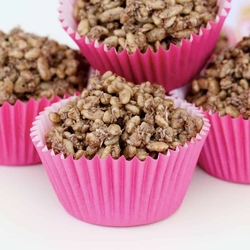 Snack - Chocolate crackles with coco pops and copha recipes