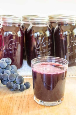 Beverage - How to make grape juice from steam recipes