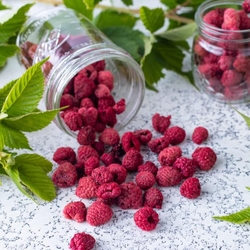 Snack - How to make raspberry powder without dehydrator recipes