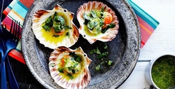 Scallops in the shell recipes - Starters nibbles