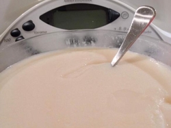 Rice - Can you make yogurt with rice milk recipes