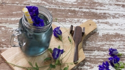 Drinks - How to make butterfly pea flower extract recipes