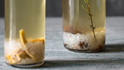 Beverage - How to make water kefir more fizzy recipes