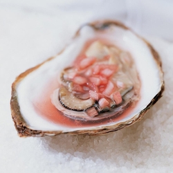 Sauces for oysters on the half shell recipes - Main dishes