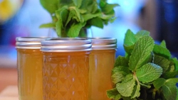 Jellies - How to make mint jelly from scratch recipes