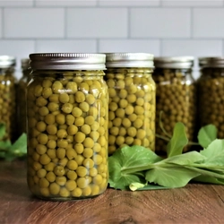 Canning - How to can peas without pressure cooker recipes